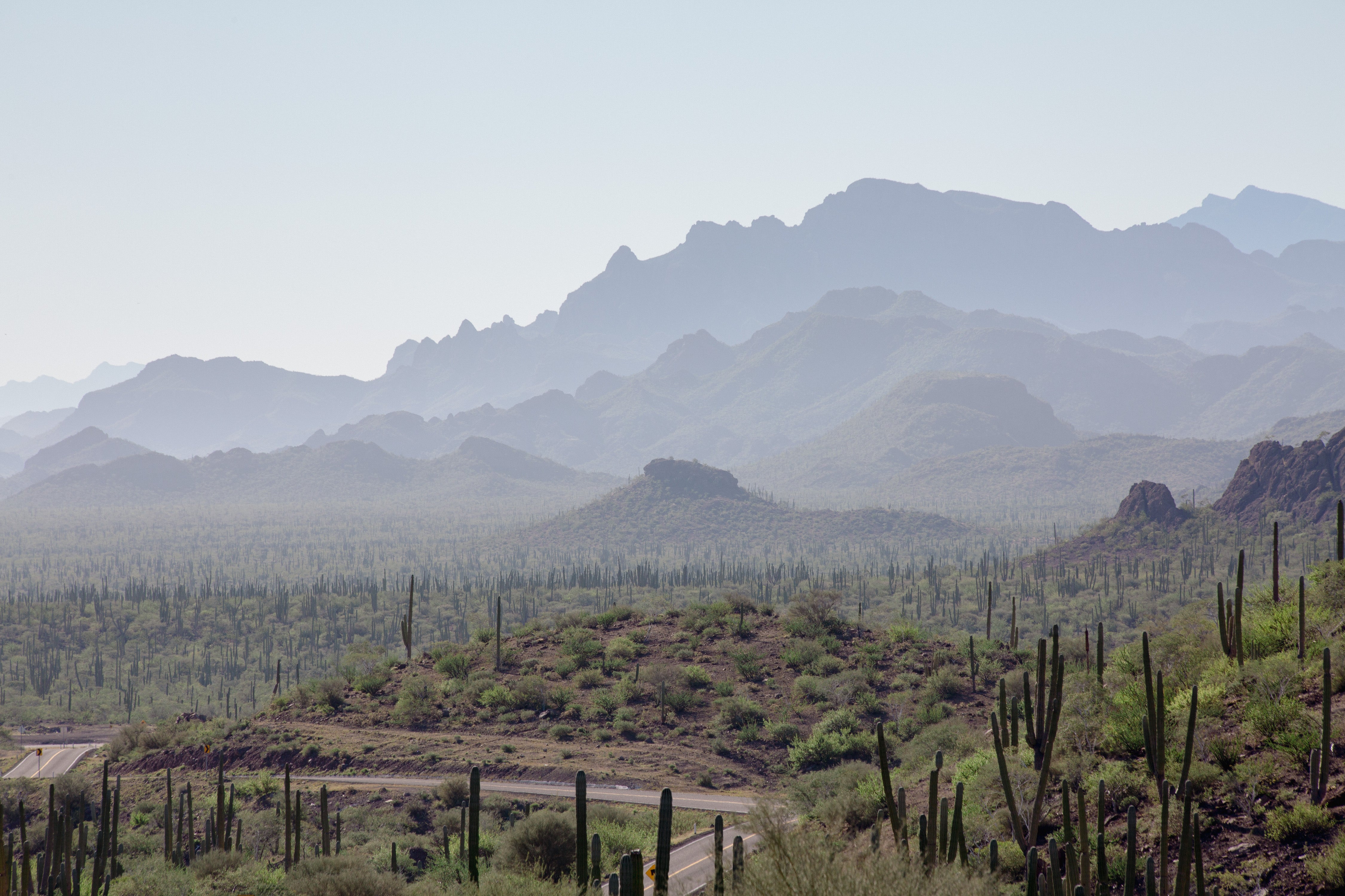 FAQ's – topiaretreat